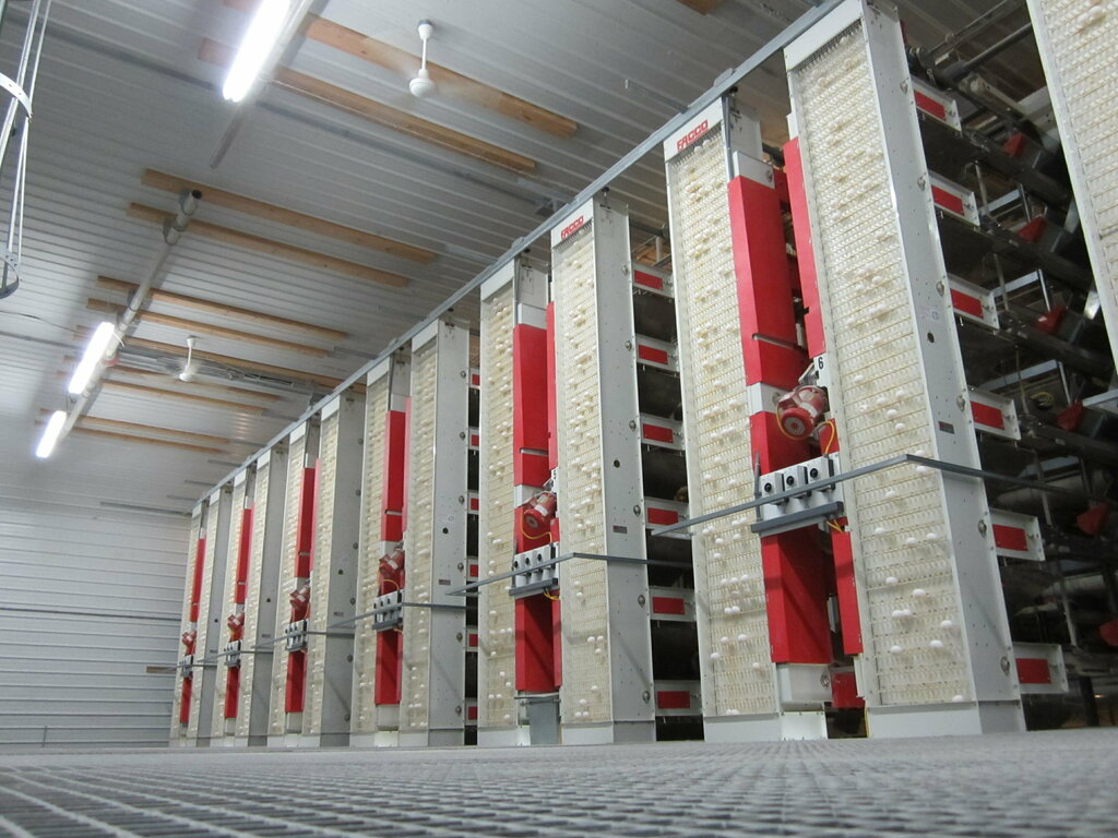 Depo hizmetleri Vtech, İstanbul, foto
