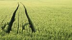 Agrocorp (1/4, Ras Al Khor Road, Dubai), tarım makineleri, ekipmanlar