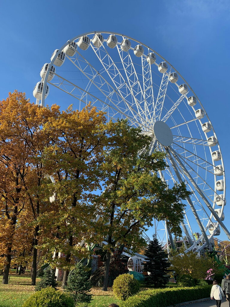 Atraksiyon Ferris wheel, Saint‑Petersburg, foto