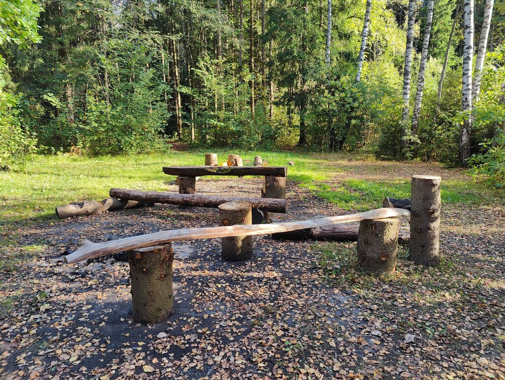 Piknik alanı Место для пикника, Moskova ve Moskovskaya oblastı, foto