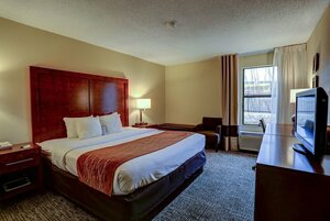 Comfort Inn Olive Branch (Mississippi, DeSoto County), otel  Missisippi Eyaleti'nden