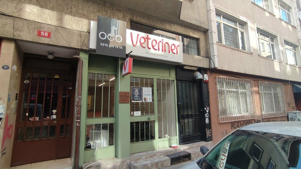 Veteriner klinikleri Odo veteriner, İstanbul, foto