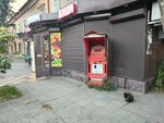 Терминал (Yusupova Street No:32), ödeme terminali  Makhachkala'dan