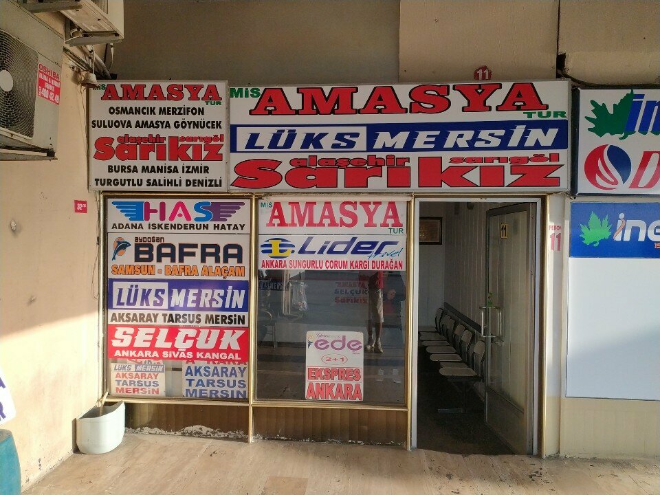 Otobüs biletleri Alaşehir Sarıkız Turizm, İstanbul, foto