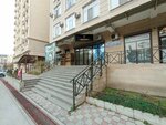 Частный нотариус Насирова Д. Б. (Orozbekov Street No:1), noterler  Bişkek'ten