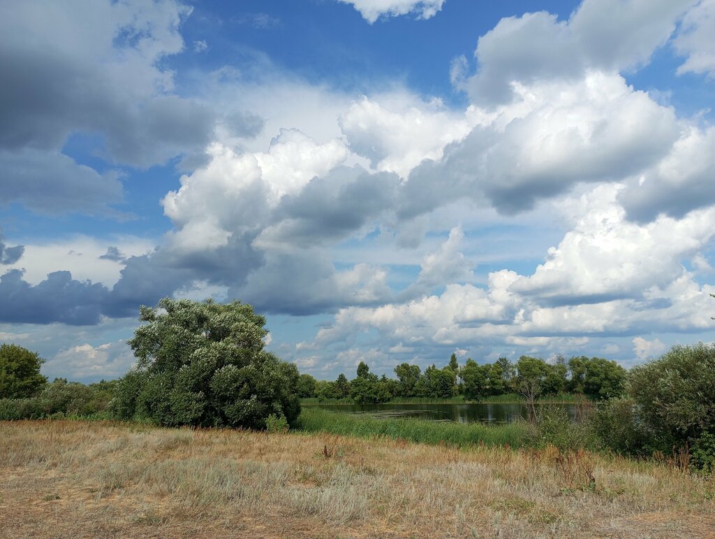 Plaj Пляж, Tambovskaya oblastı, foto