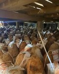 Alâ Dükkân (Karaman, Karaman Merkez , Kenzi Cad., 4), market  Karaman'dan