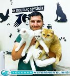 Yücedağ Veteriner Kliniği (Sivas, Sivas Merkez , Küçükminare Mah., 27-4. Sok., 4), veteriner klinikleri  Sivas'tan
