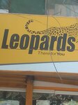 Leopards (Allama Iqbal Road No:685C, Pakistan Employees Cooperative Housing Society, Block 2), nakliye firmaları  Karaçi'den