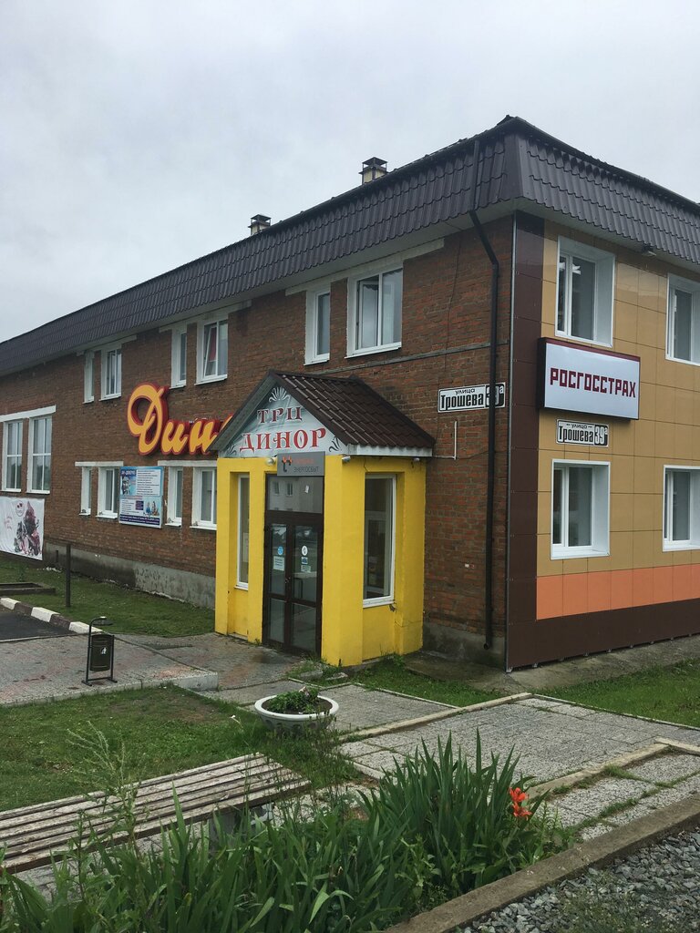 Sigorta şirketleri Росгосстрах, İvdel, foto