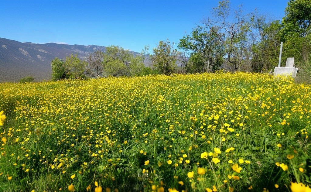 Muhtarlıklar Osmaniye Köy Muhtarlığı, Niksar, foto