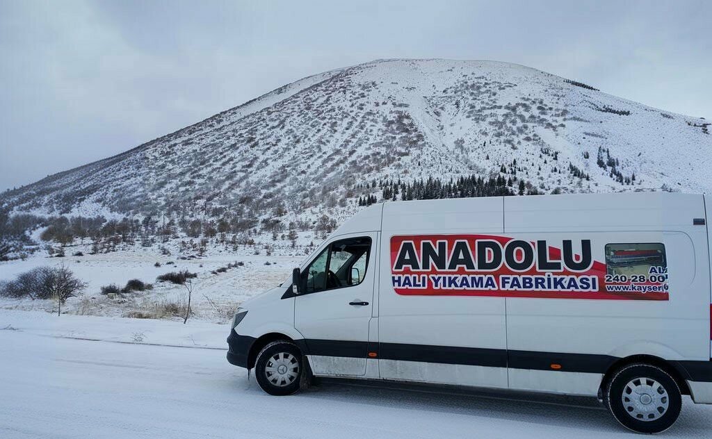 Halı yıkamacılar Anadolu Halı Yıkama, Kayseri, foto