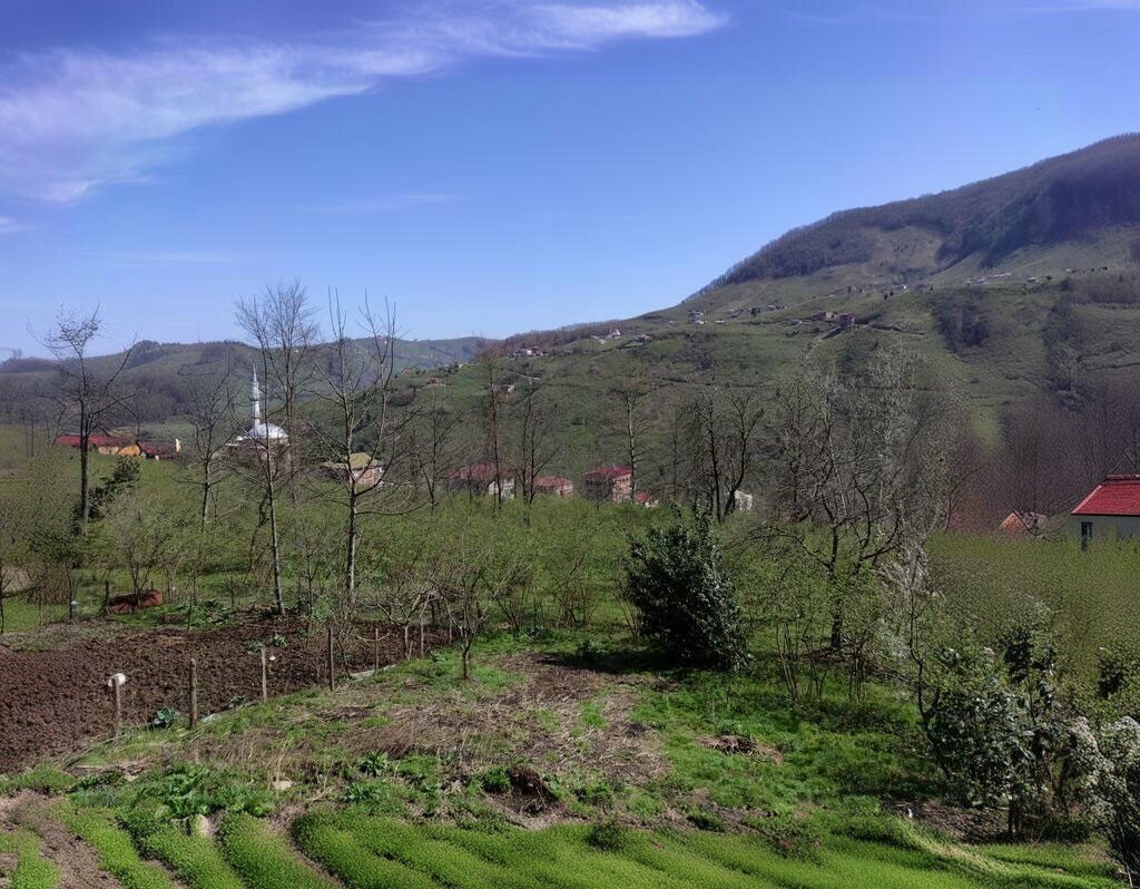 Muhtarlıklar Küçükada Köy Muhtarlığı, Bulancak, foto