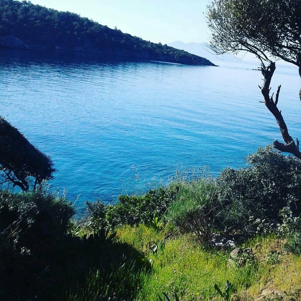 Pansiyonlar, hosteller Gözde Apart, Bodrum, foto