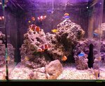 Moby Dick Pet Shop (Çarşı Mh., Uzun Sk., No: 56, Ortahisar, Trabzon), petshop  Ortahisar'dan