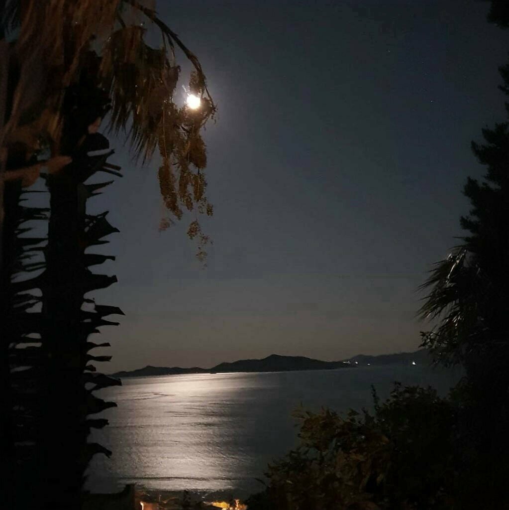 Konut blokları Günışığı Sitesi, Bodrum, foto