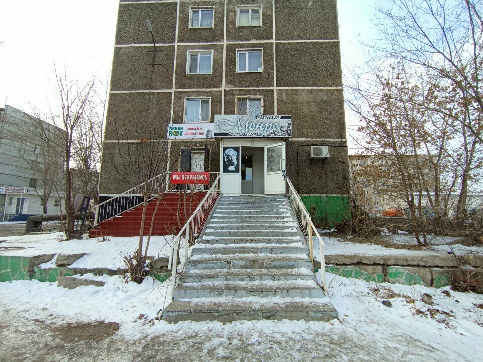 Petshop Ezhkin Kot, Yekibastuz (Ekibastuz), foto