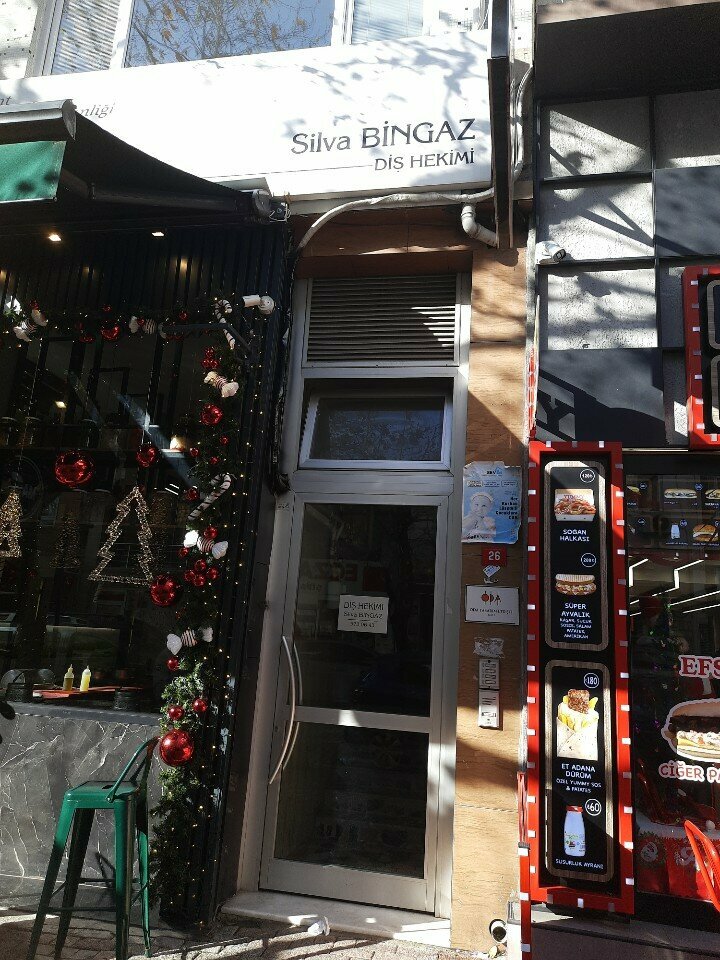 Diş sağlığı poliklinikleri Dt. Silva Bingaz, İstanbul, foto