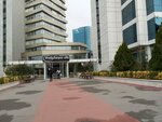 Günalp Sigorta (İstanbul, Pendik, Yeşilbağlar Mah., Selvili Sok., 2/2), sigorta şirketleri  İstanbul'dan