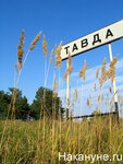 Площадка для вождения (Sverdlovsk Region, Tavda), ehliyet sınav alanı  Tavda'dan