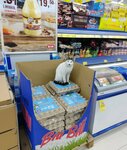 Bim (Mersin, Yenişehir, Barbaros Blv., 80AA), süpermarket  Mersin'den