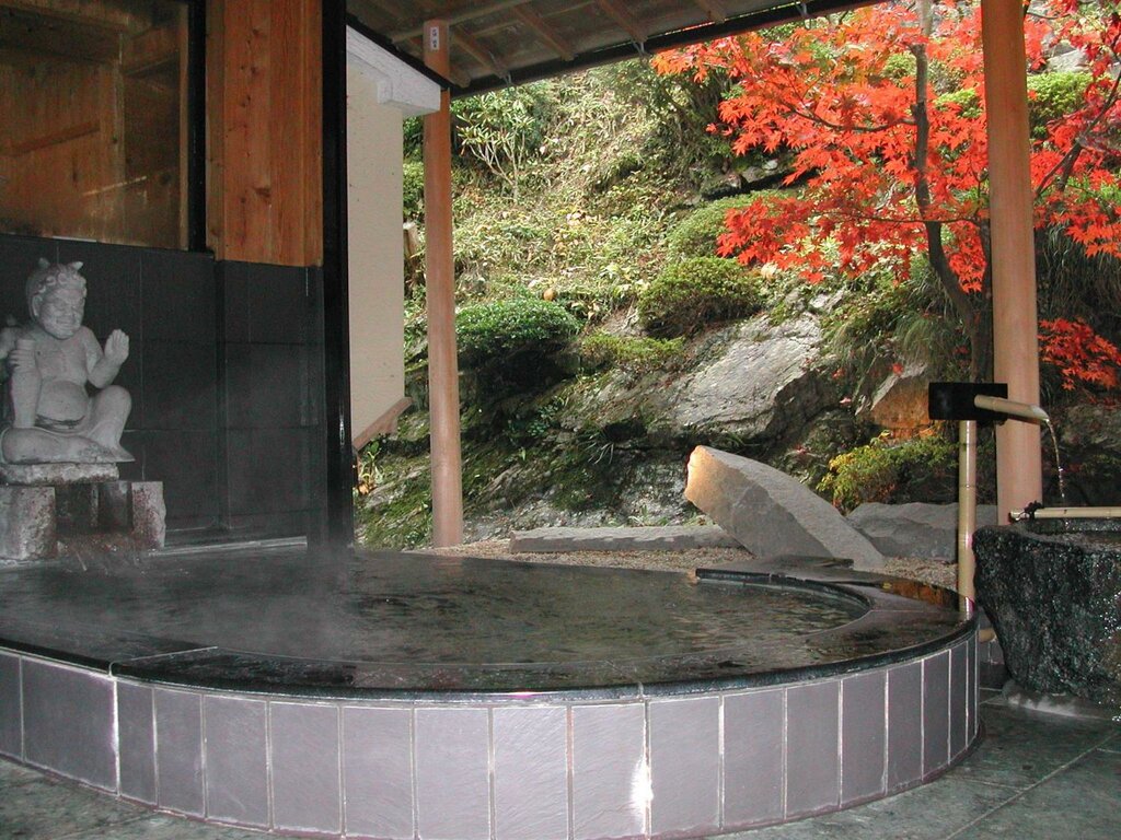 Otel Yado Hanaya Tokubei - Dorogawa-onsen Hot Spring, , foto