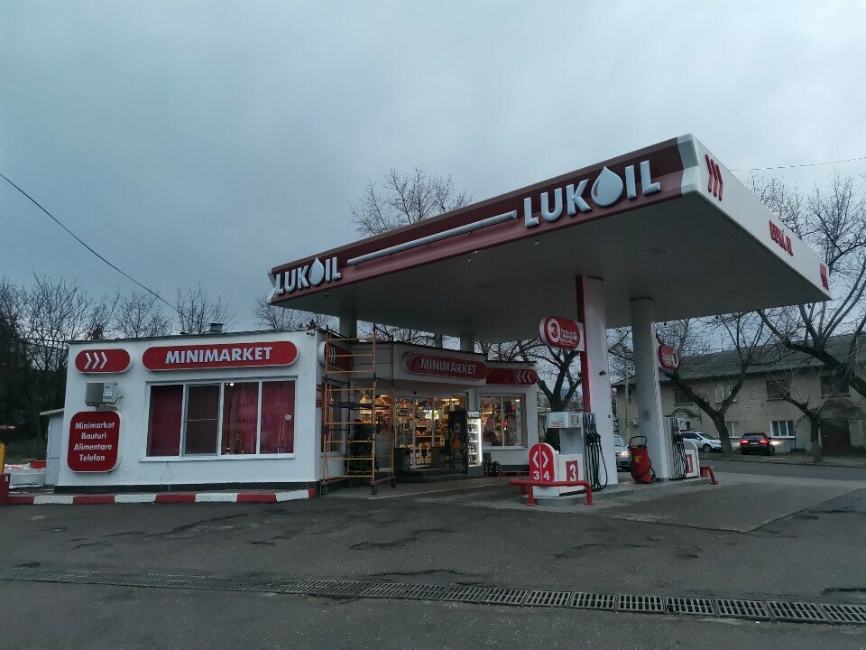Kahve otomatı Saeco, Beltsi, foto