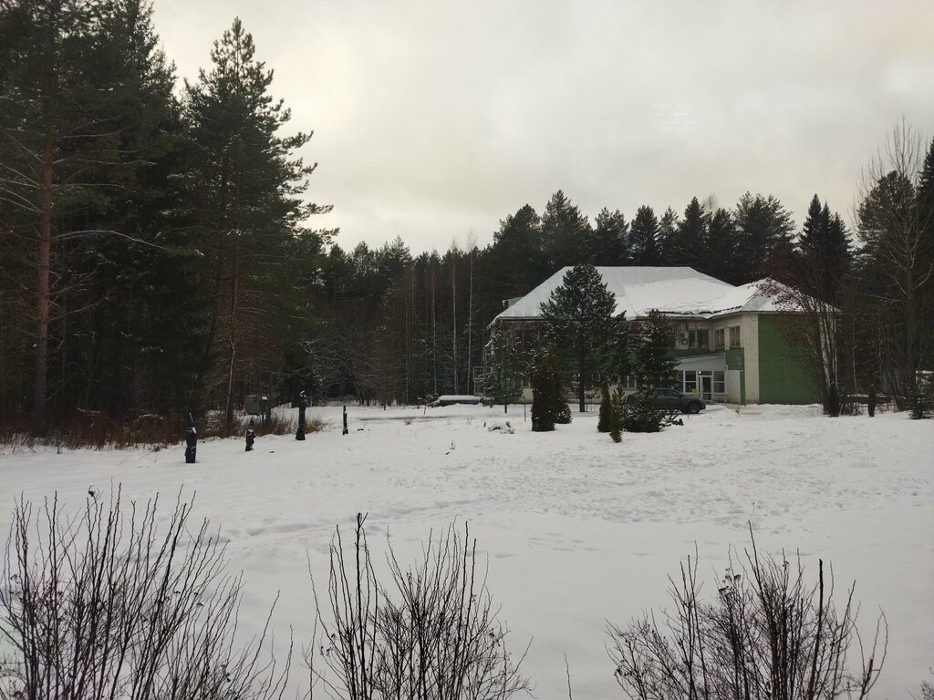 Eğitim altyapısı Permsky Nauchny institut Politekhnichesky universitet Kafedra Okhrana okruzhayushchey sredy, Perm, foto
