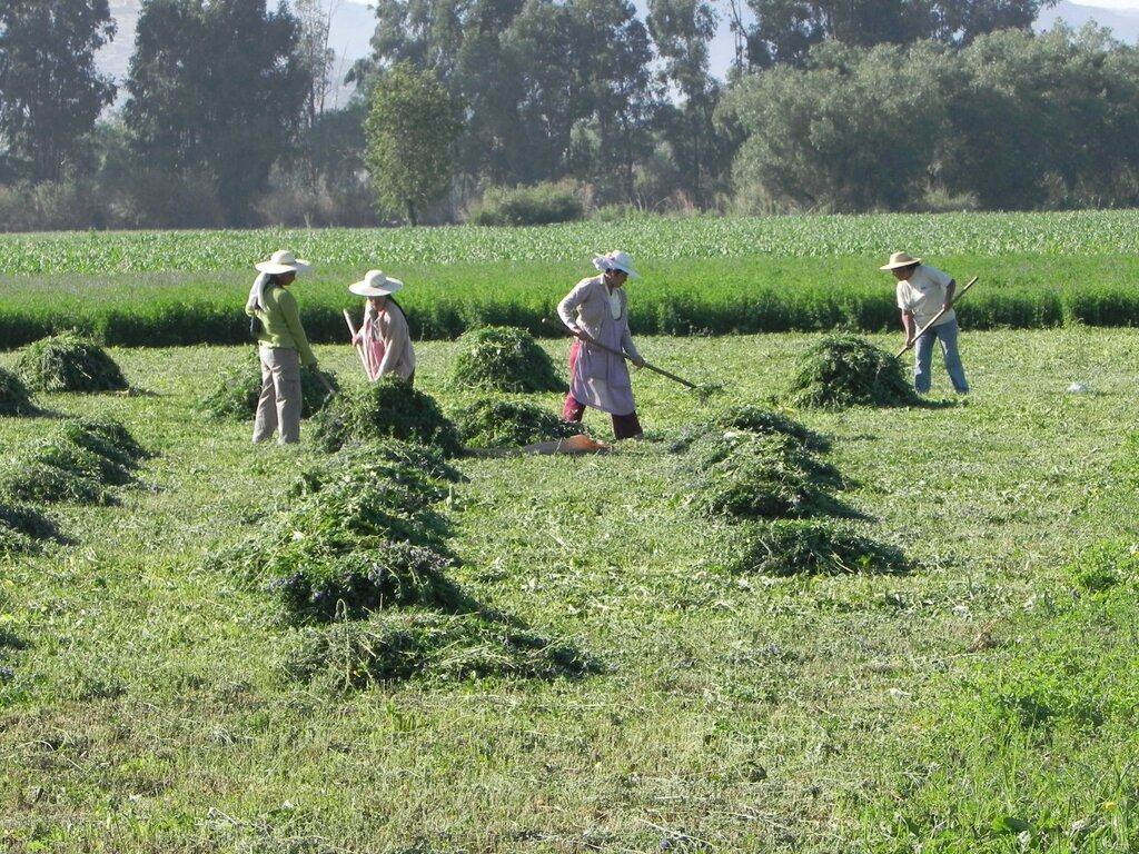 Doğa koruma alanı Ecotouristic Park Pairumani, Dünya, foto