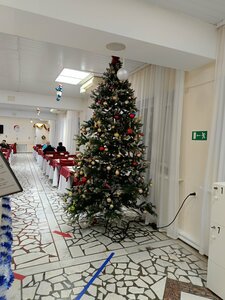 Оздоровительный комплекс курорта Янган-Тау, зал питания №4 (Republic of Bashkortostan, Salavatskiy rayon, Yangantauskiy selsovet, derevnya Chulpan), kantin, yemekhane