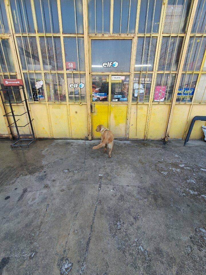 Otomobil servisi Tekinsoy Otomotiv, Ankara, foto