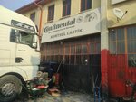 Kurtsel Lastik (Konya, Selçuklu, Horozluhan Mah., Alay Sok., 33), oto lastik tamiri  Konya'dan