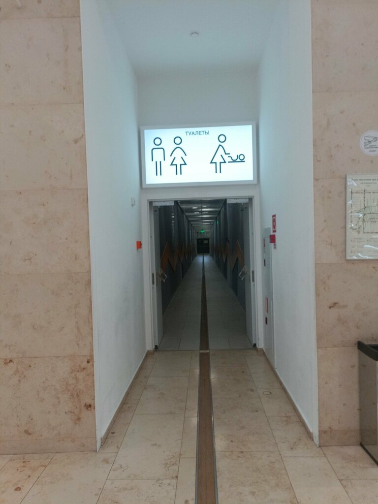 Engelliler için tuvalet Handicapped toilet, Puşkino, foto