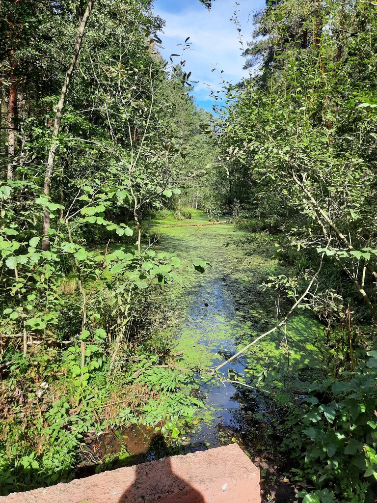Pınar, çay Spring, stream, Salihorsk, foto