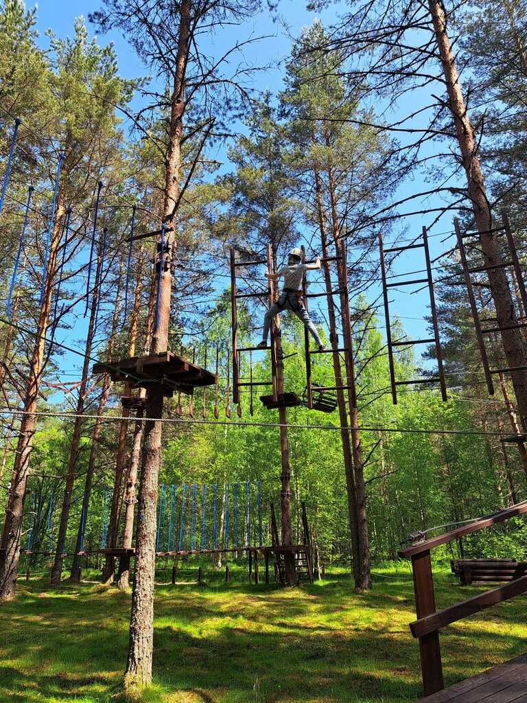 i̇pli oyun park Мир птиц, Saint‑Petersburg ve Leningradskaya oblastı, foto