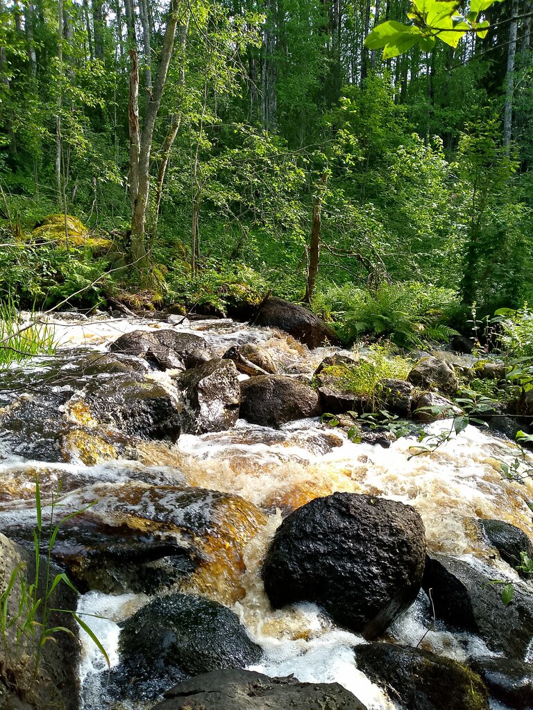 Şelale Waterfall, Saint‑Petersburg ve Leningradskaya oblastı, foto