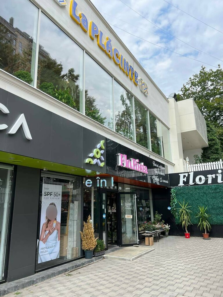 Çiçekçiler Flo. Rista, Kişinev, foto