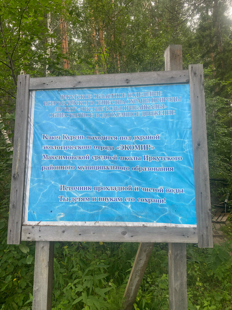 Pınar, çay Spring, stream, İrkutskaya oblastı, foto
