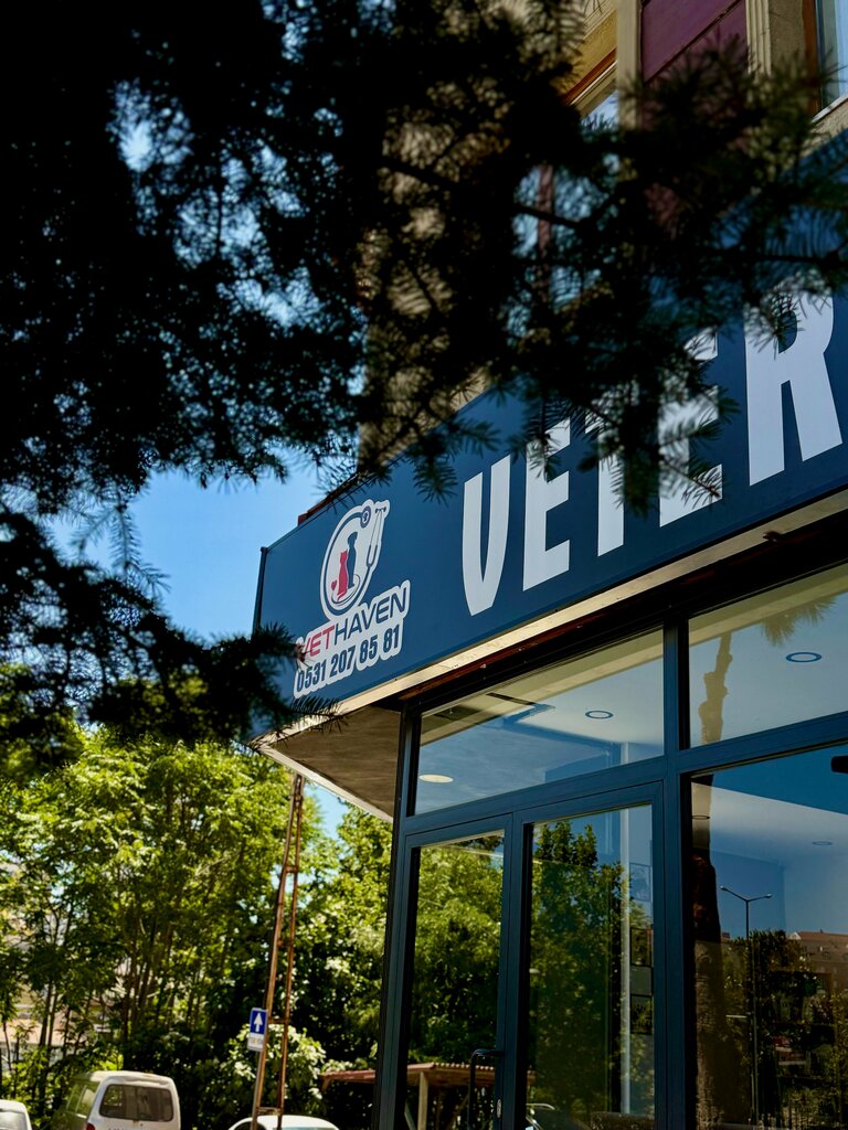 Veteriner klinikleri Vethaven veteriner kliniği, İstanbul, foto