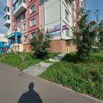 Авелим (ulitsa Kosygina No:71), halı yıkamacılar  Novokuznetsk'ten