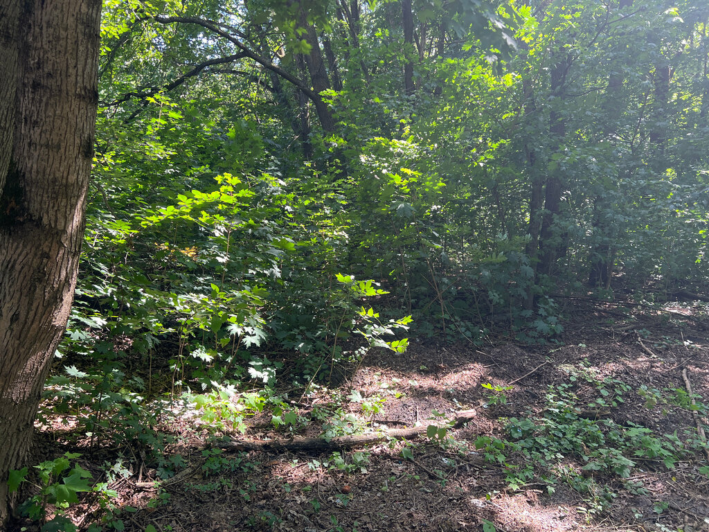 Tuvalet Туалет, Belgorodskaya oblastı, foto