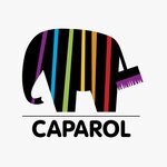 Caparol Center (Kashirskoye Highway No:43к2с2), boya ve cila malzemeleri üretim ve satış yerleri  Moskova'dan