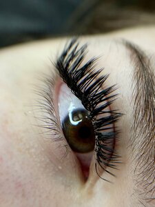 Pollli. Lashes (Mira Street No:18А), kaş ve kirpik salonu  Elektrostal'den
