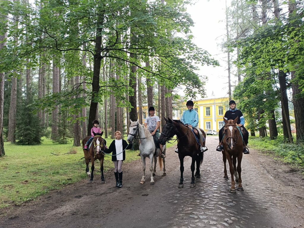 At ve binicilik kulüpleri Графская Усадьба, Saint‑Petersburg ve Leningradskaya oblastı, foto