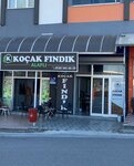 Alaplı Koçak Fındık (Zonguldak, Alaplı, Karşıyaka Mah., İstanbul Cad., 45), yönetim ofisi  Alaplı'dan