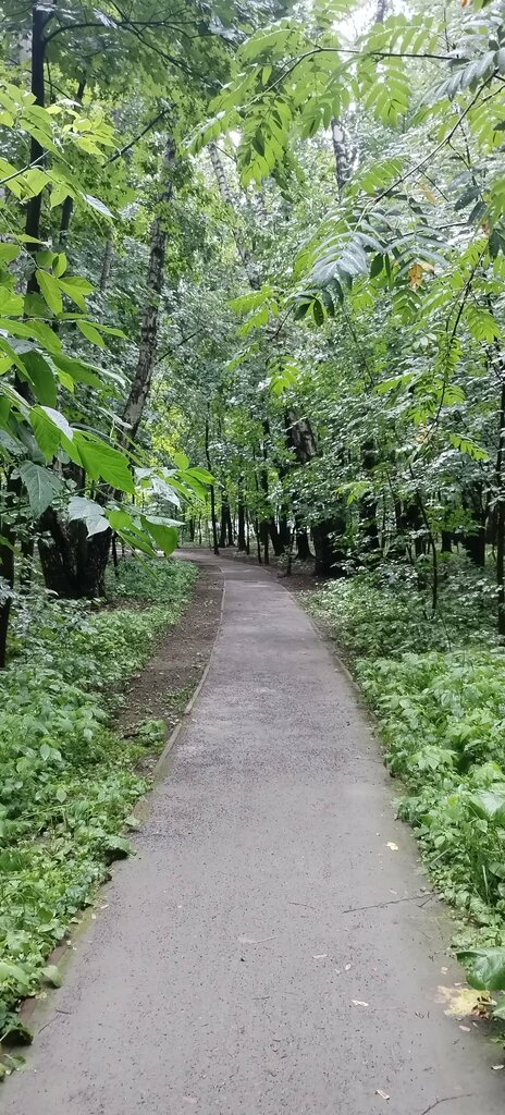 Stadyum Chumchuqli Neighborhood Stadium, Semerkant eyaleti, foto