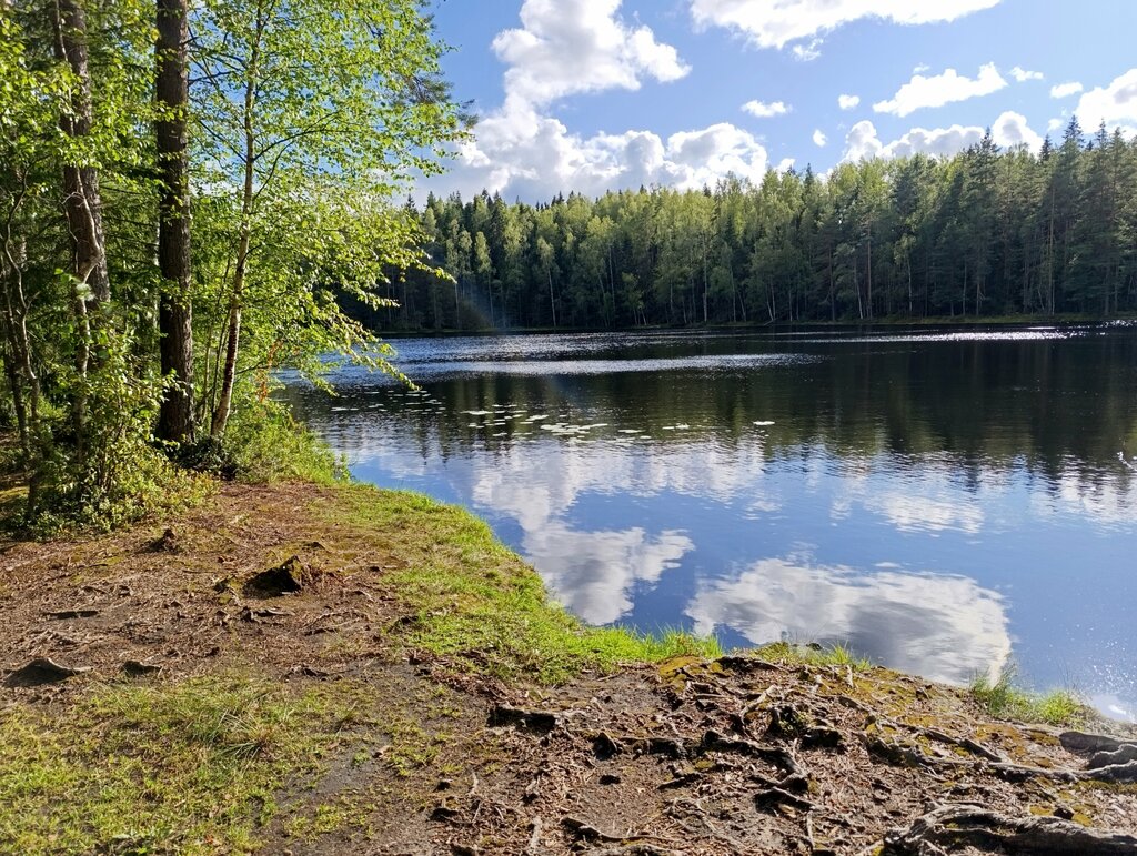 Plaj Пляж, Saint‑Petersburg ve Leningradskaya oblastı, foto