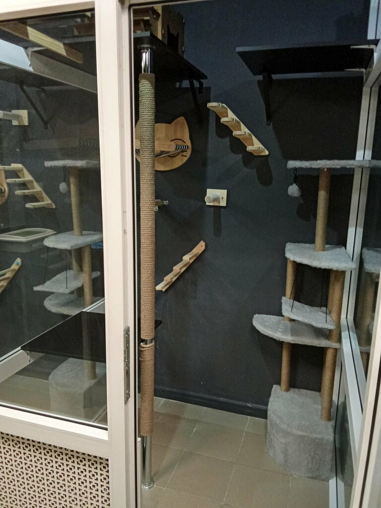 Pet otel Зоогостиница для кошек и собак, Essentuky, foto