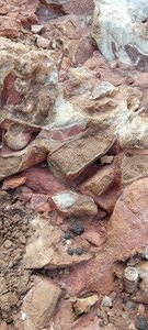 Turistik yerler Золотушинский рудник, Gorniak, foto