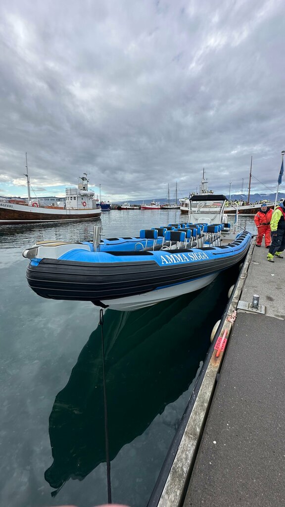 Deniz ve nehir iskeleleri Sea and river stations, Dünya, foto